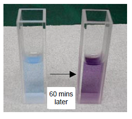 Quantitative Determination of Proteins